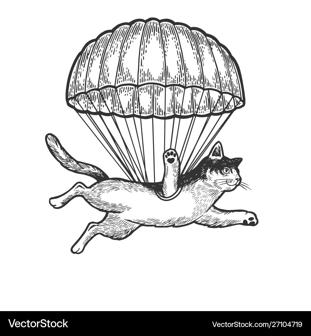 Cat fly with parachute sketch engraving Royalty Free Vector