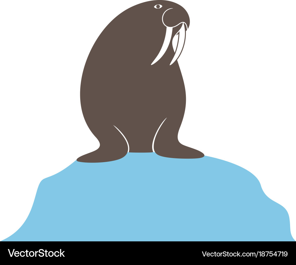Walrus Royalty Free Vector Image - VectorStock