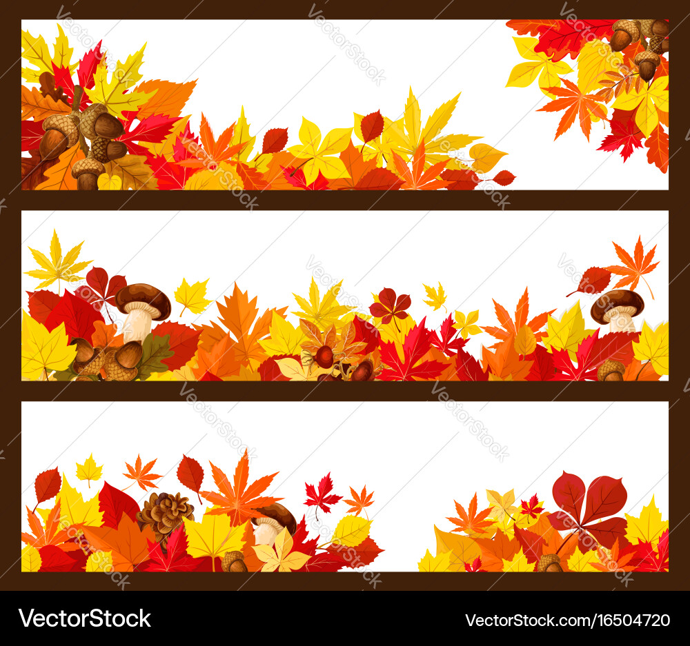 Autumn leaf banner border for fall season design Vector Image