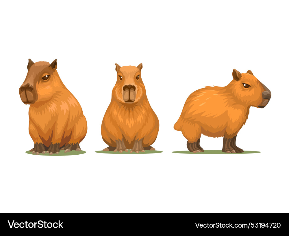Capybara animal cartoon Royalty Free Vector Image