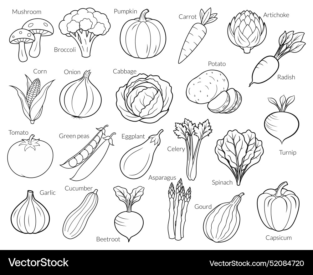 Hand drawn vegetable set in doodle style Vector Image
