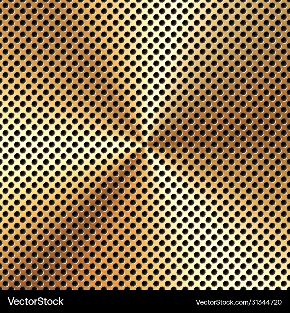 Realistic perforated brushed metal texture Vector Image