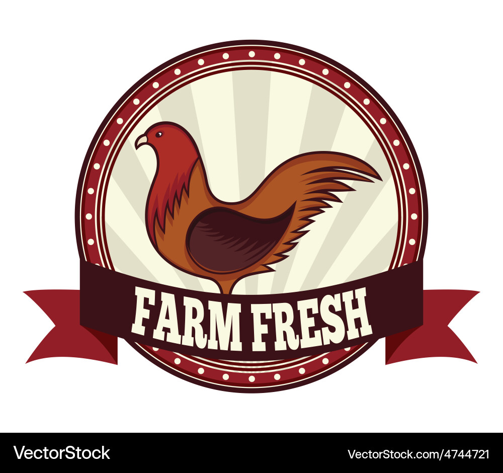 Farm fresh chicken resize Royalty Free Vector Image