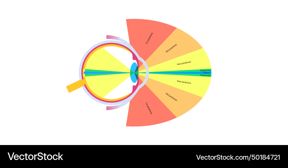Near Sight Vector Images (75)