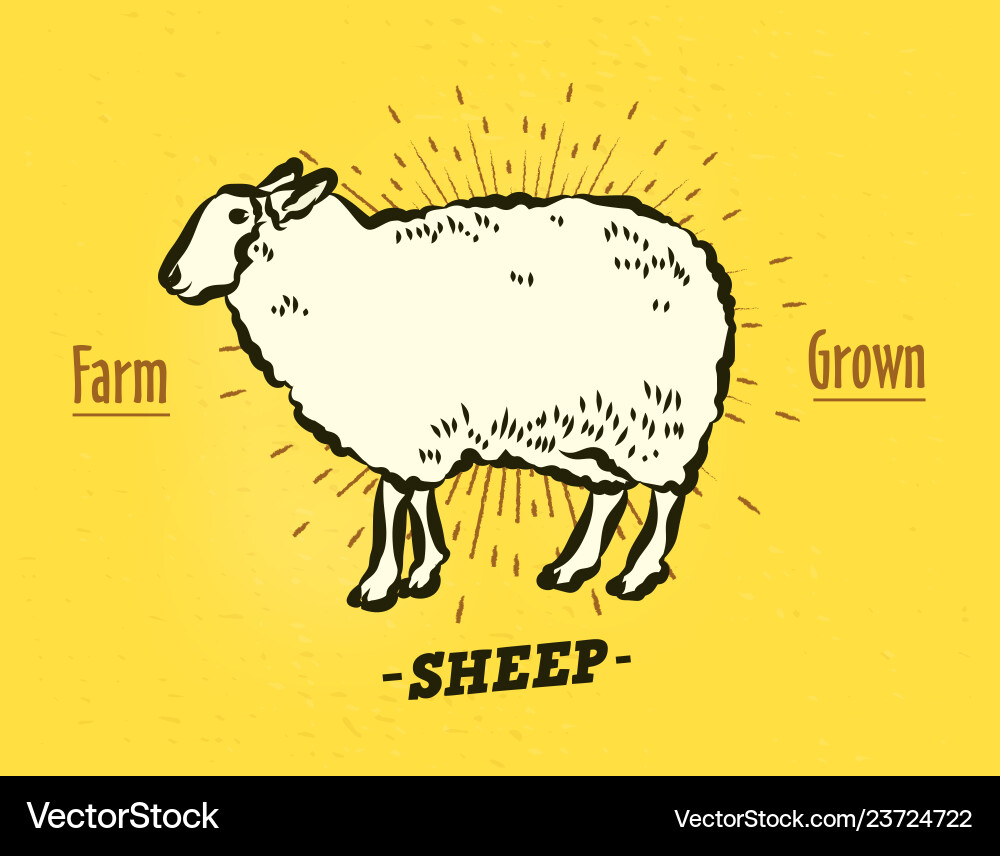 Antique engraving drawing Royalty Free Vector Image