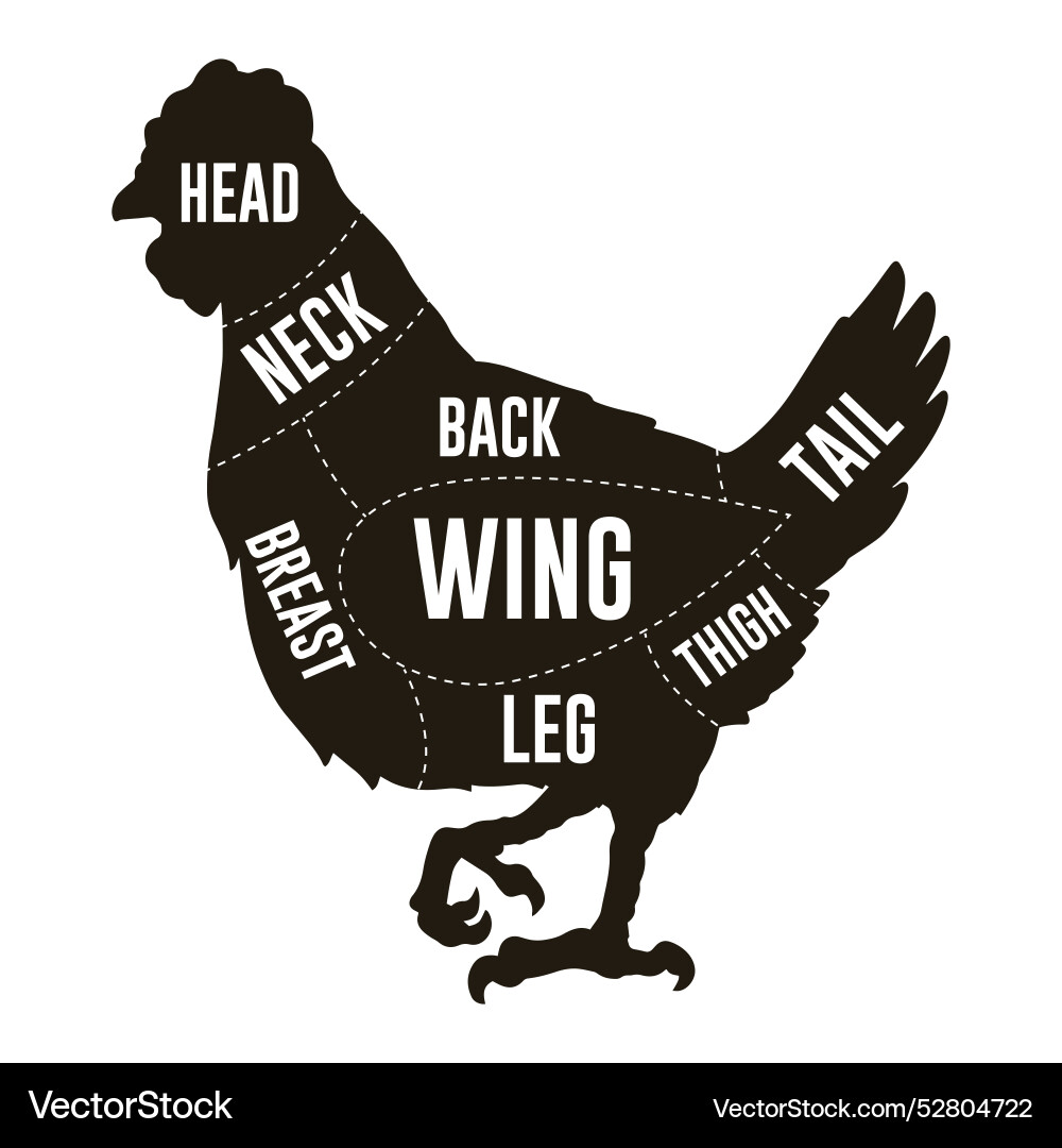 Chicken Cut Diagram - Anatomical Chart Royalty Free Vector