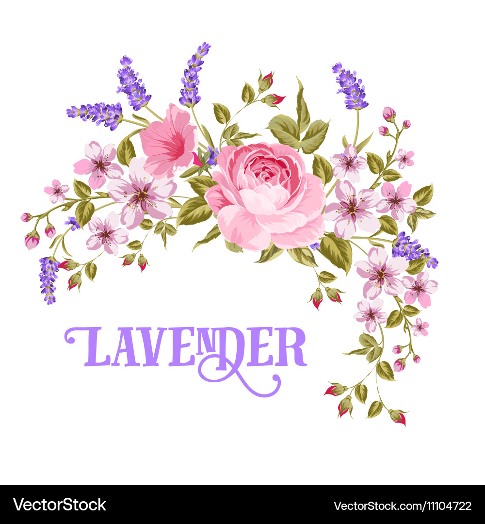 Lavender sign Royalty Free Vector Image - VectorStock