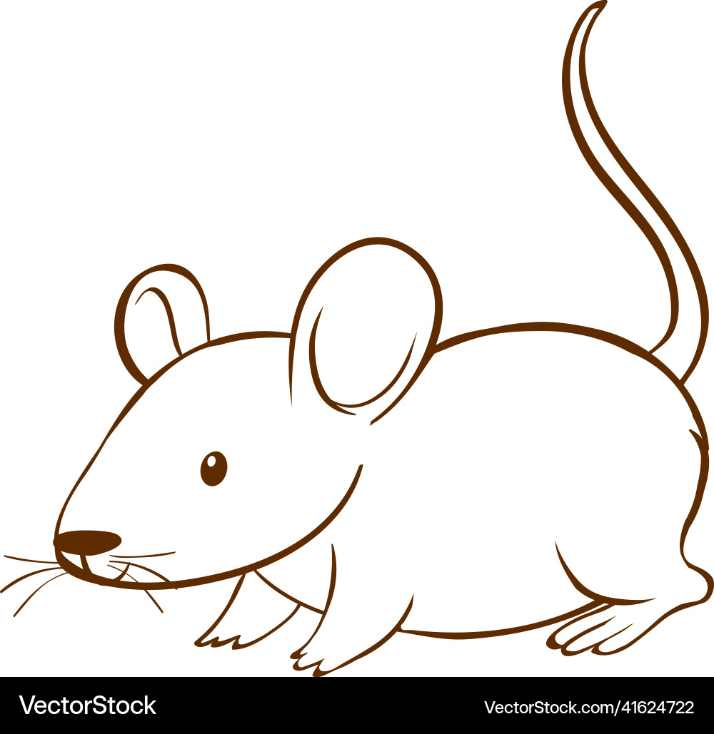 Rat in doodle simple style on white background Vector Image