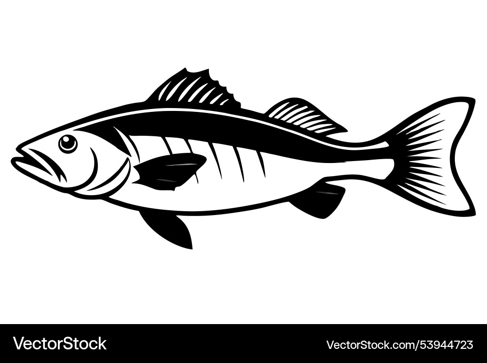 Bass fish line art design Royalty Free Vector Image