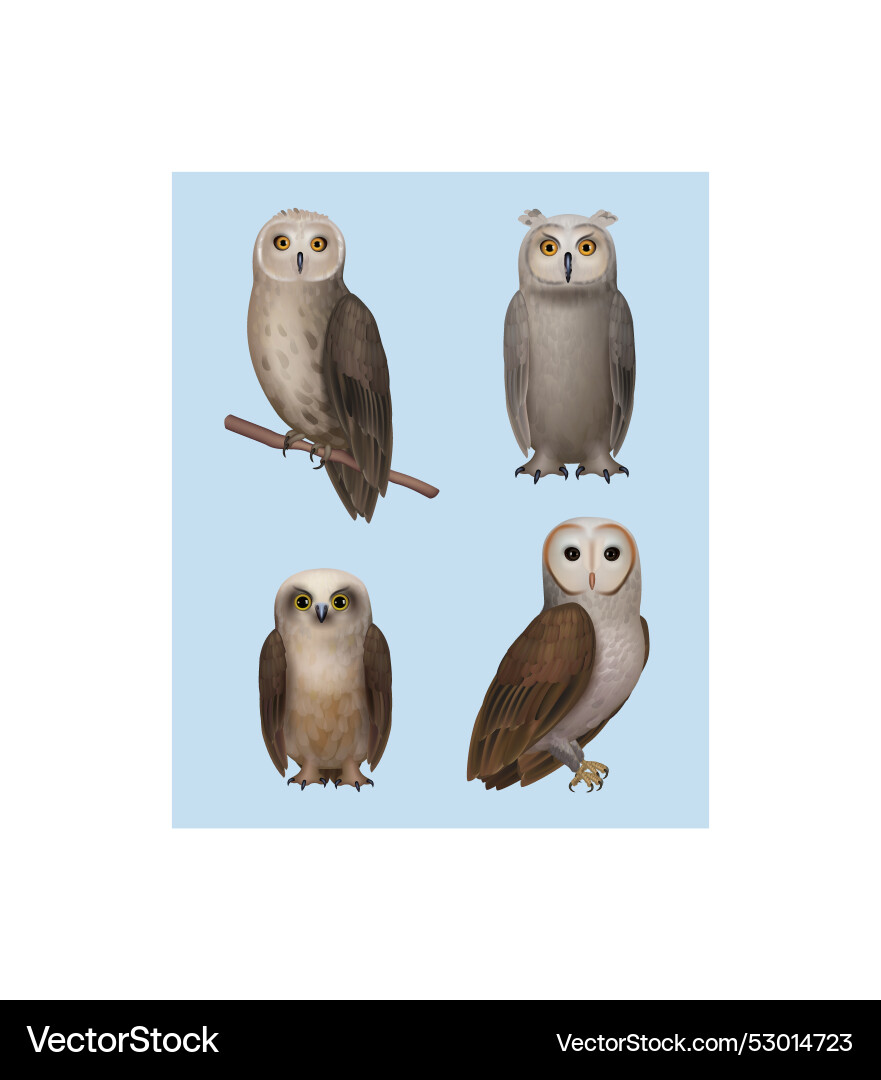 Owl realistic wild flying birds wisdom owls Vector Image