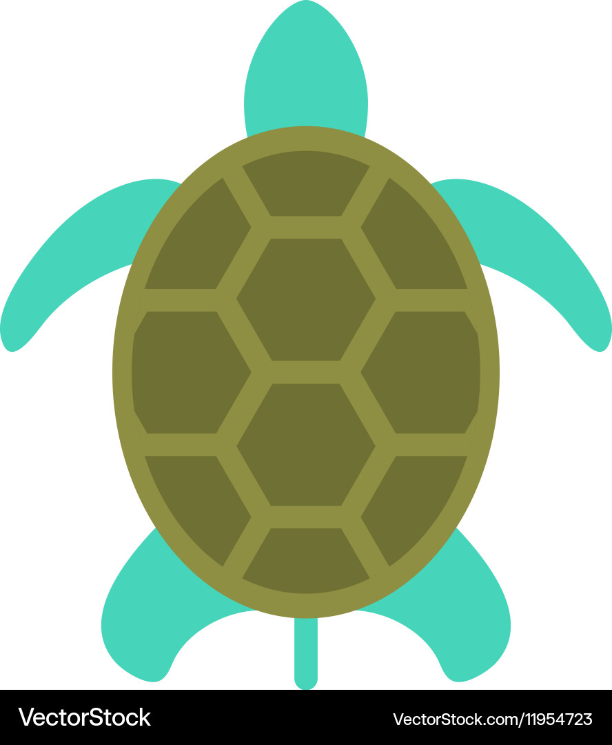 Turtle icon isolated on white flat style Vector Image
