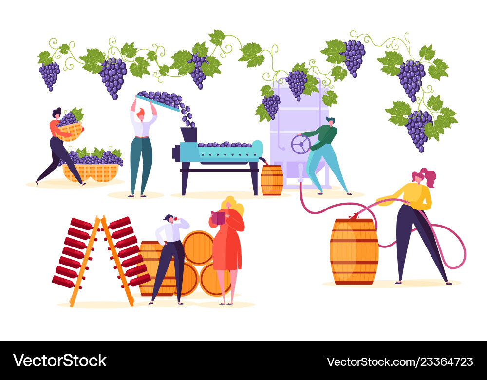 Winery factory wine production process set Vector Image