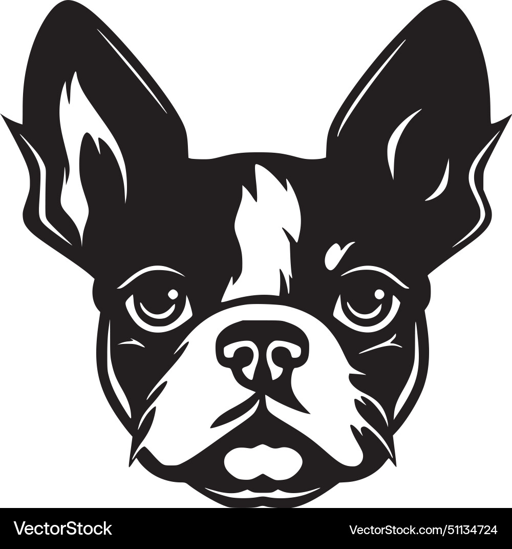 Boston terrier - high quality logo ideal Vector Image