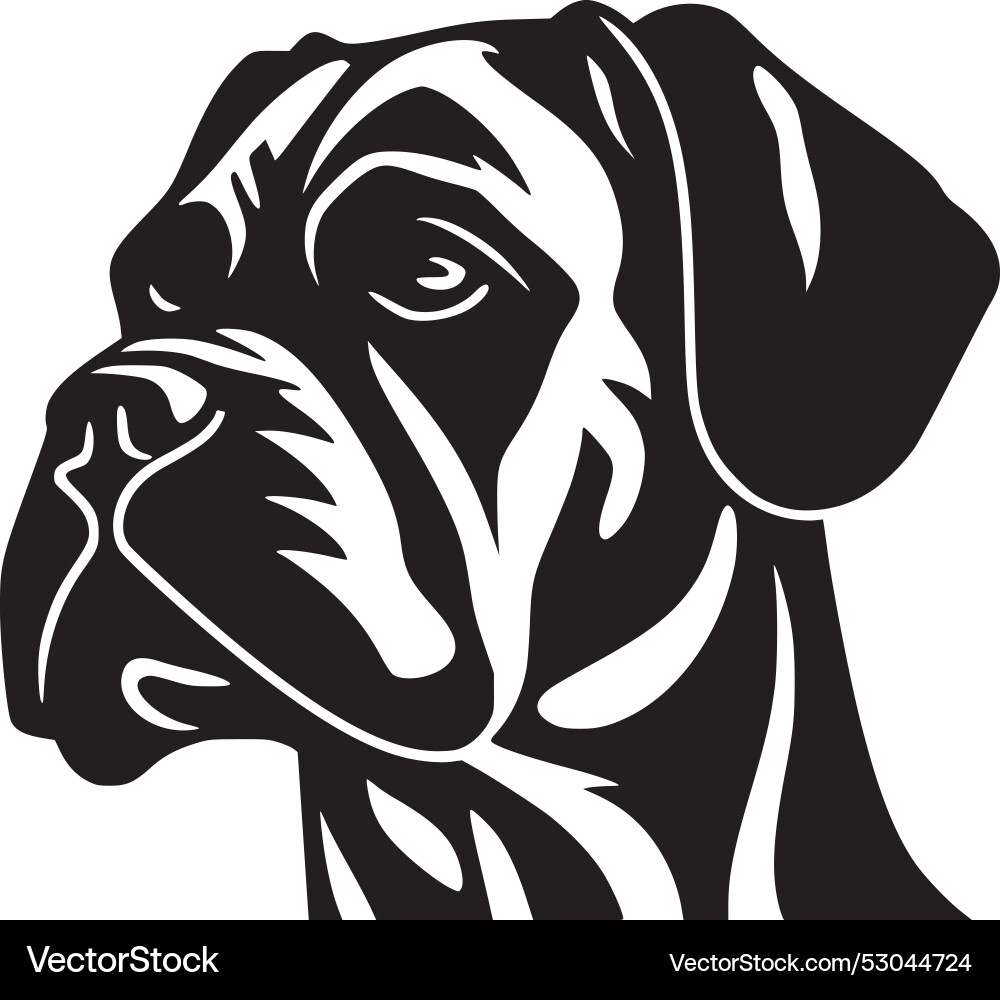 Boxer - minimalist and simple silhouette Vector Image