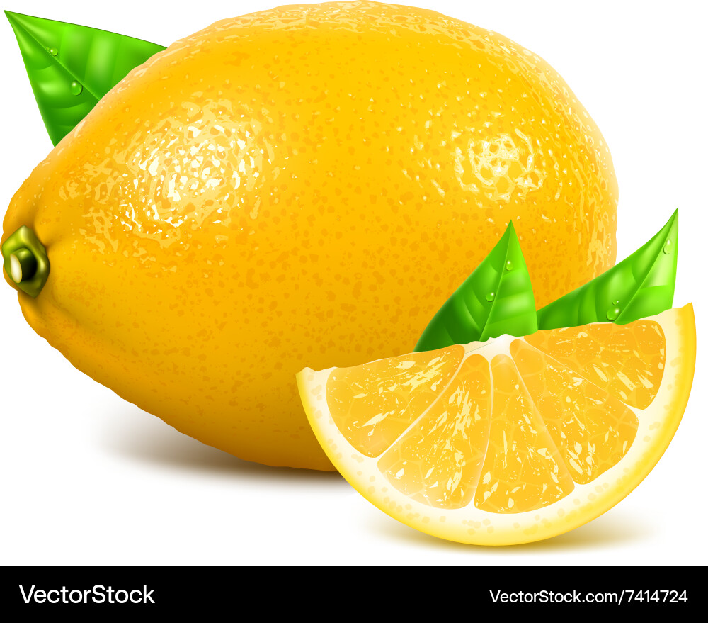 Fresh whole and slice lemons with leaves Vector Image