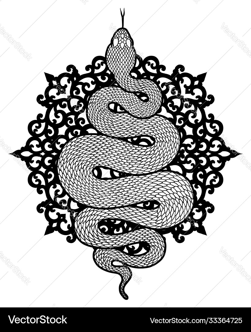 Coiled snake detailed Royalty Free Vector Image
