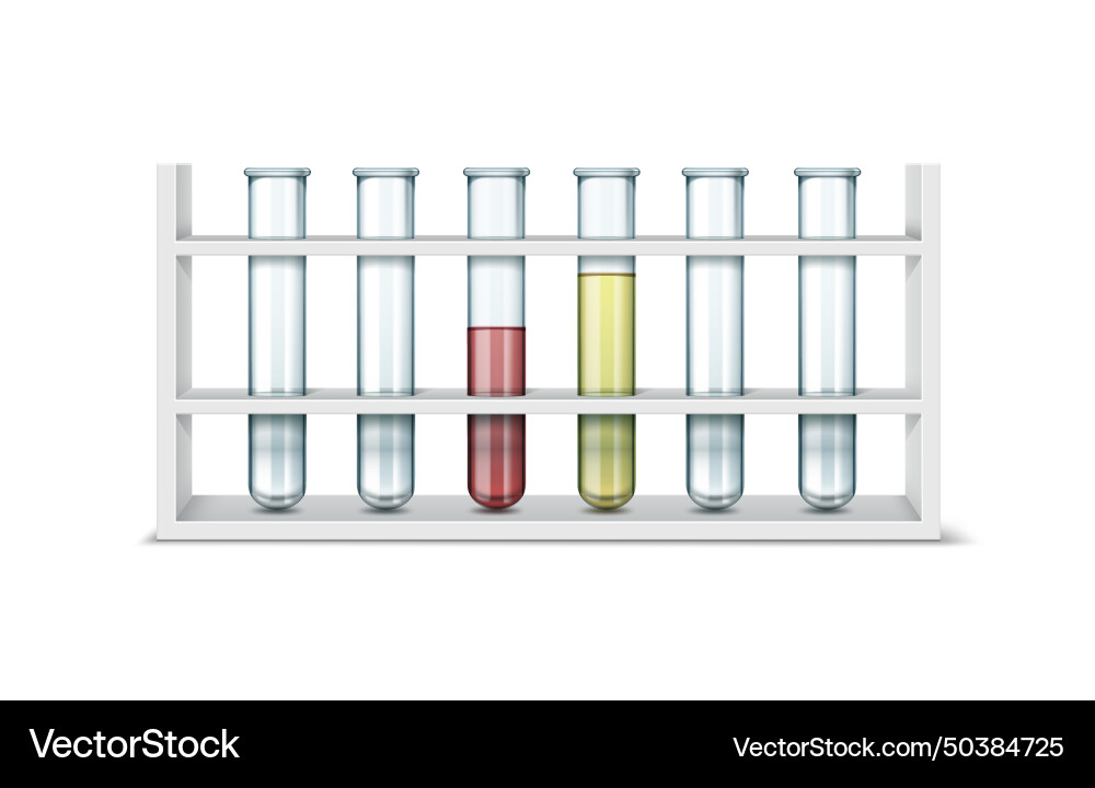 Test tube stand Royalty Free Vector Image - VectorStock