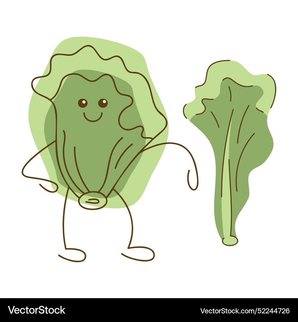 Cute lettuce character and greenery hand drawn Vector Image