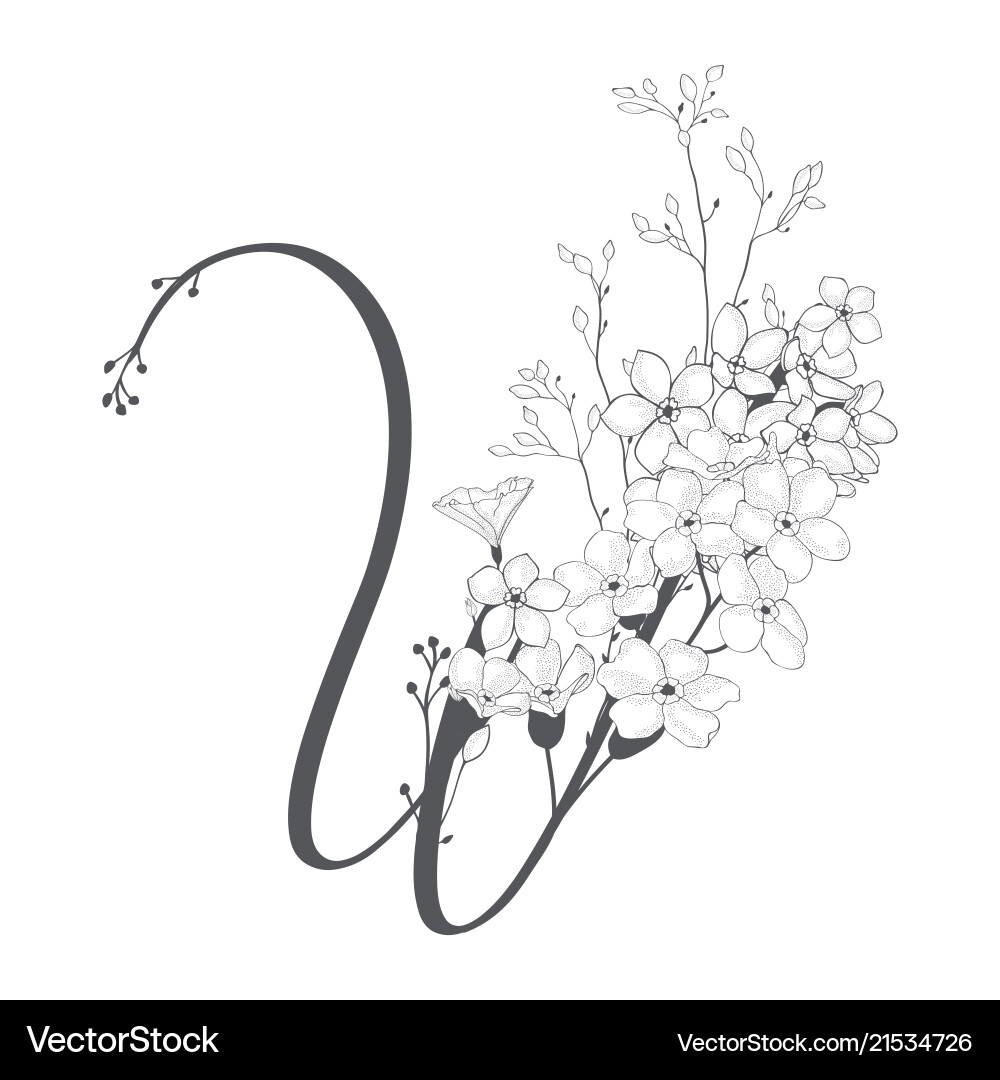 Hand drawn floral w monogram and logo Royalty Free Vector