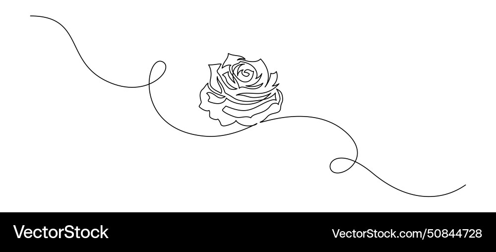 One continuous line drawing of rose flower Vector Image