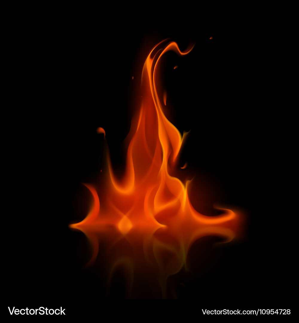 Red fire flame bonfire isolated on background Vector Image