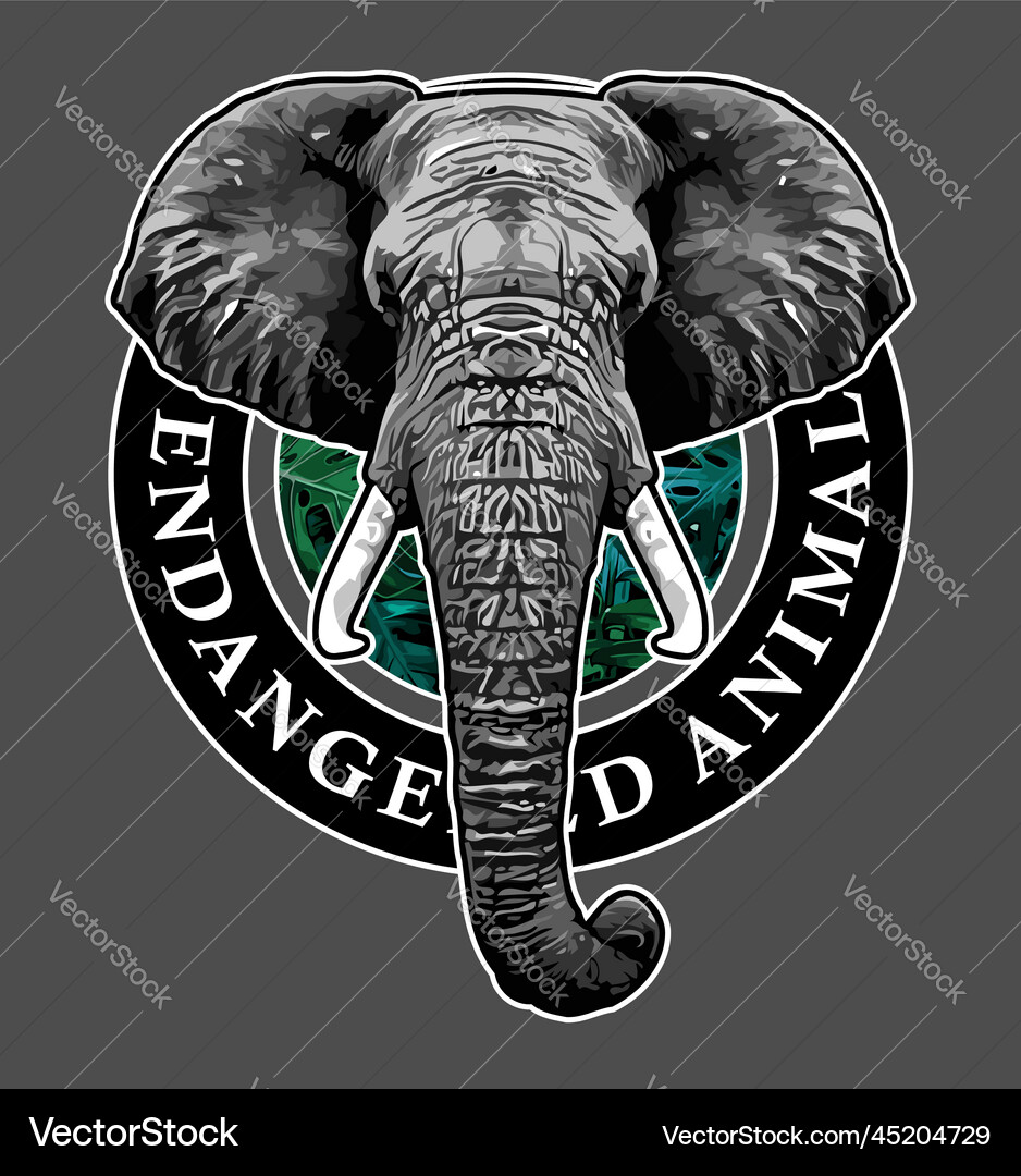 Elephant head front view on black background Vector Image