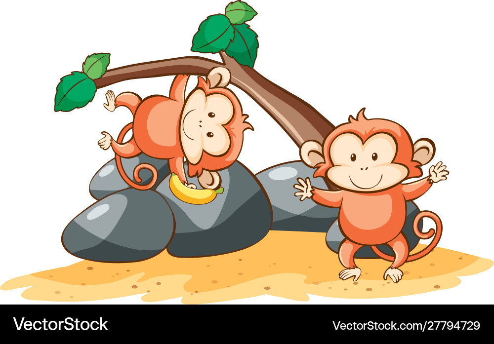 Two monkeys on tree Royalty Free Vector Image - VectorStock