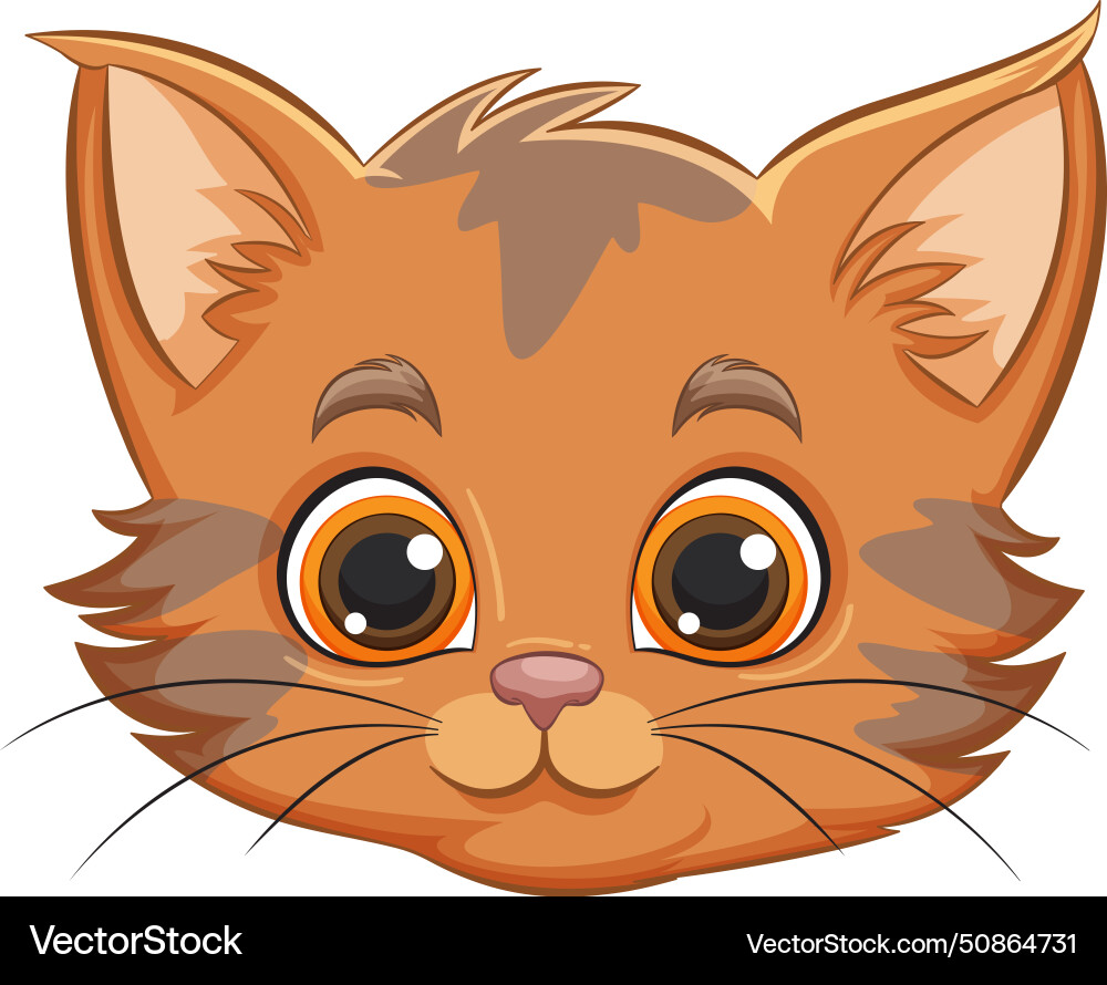 Adorable brown tabby kitten with big eyes Vector Image