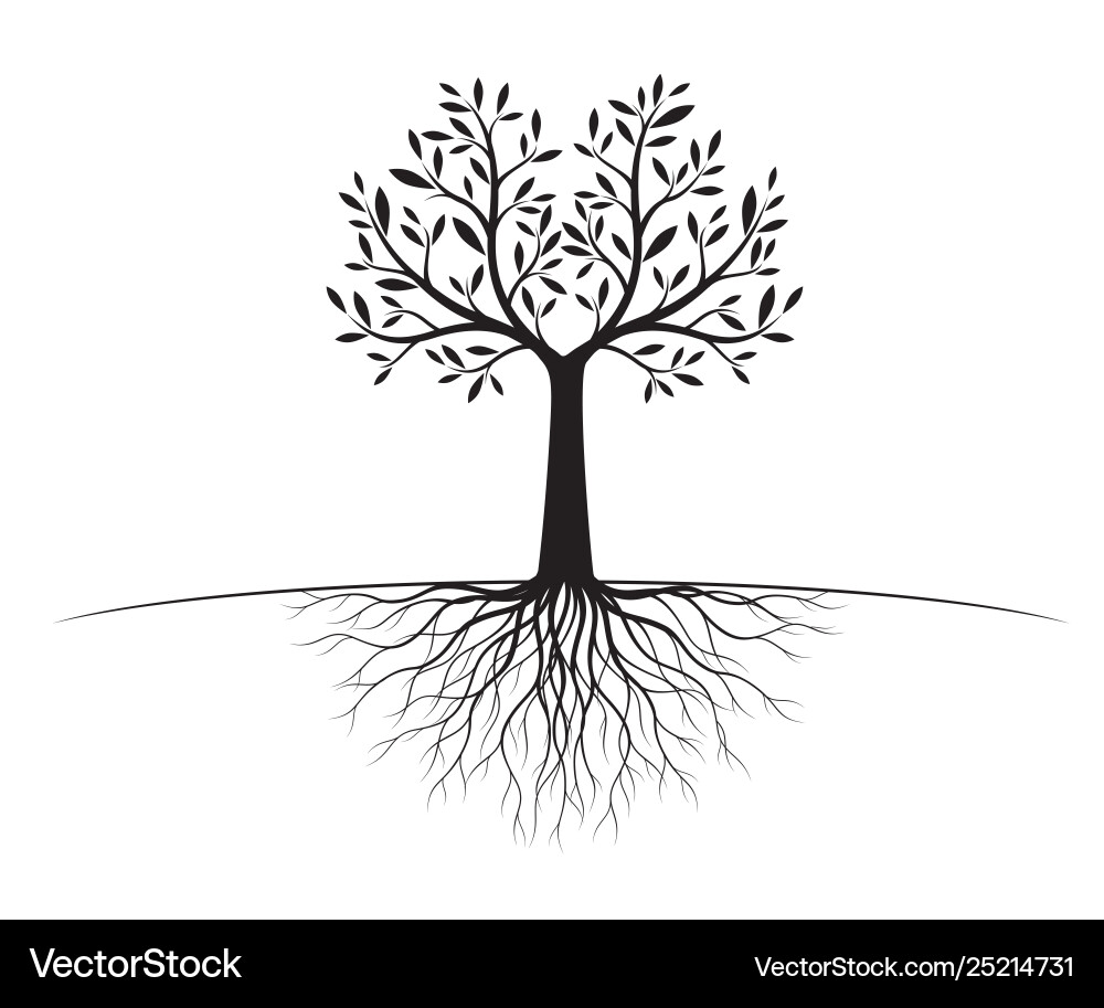 Black tree with roots on white background Vector Image