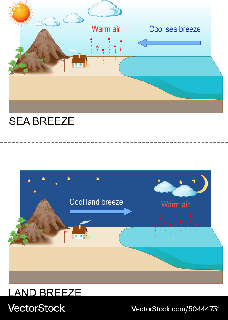 Sea breeze and land Royalty Free Vector Image - VectorStock