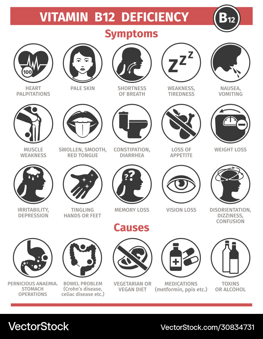 Vitamin B12 Deficiency Symptoms Royalty Free Vector Image