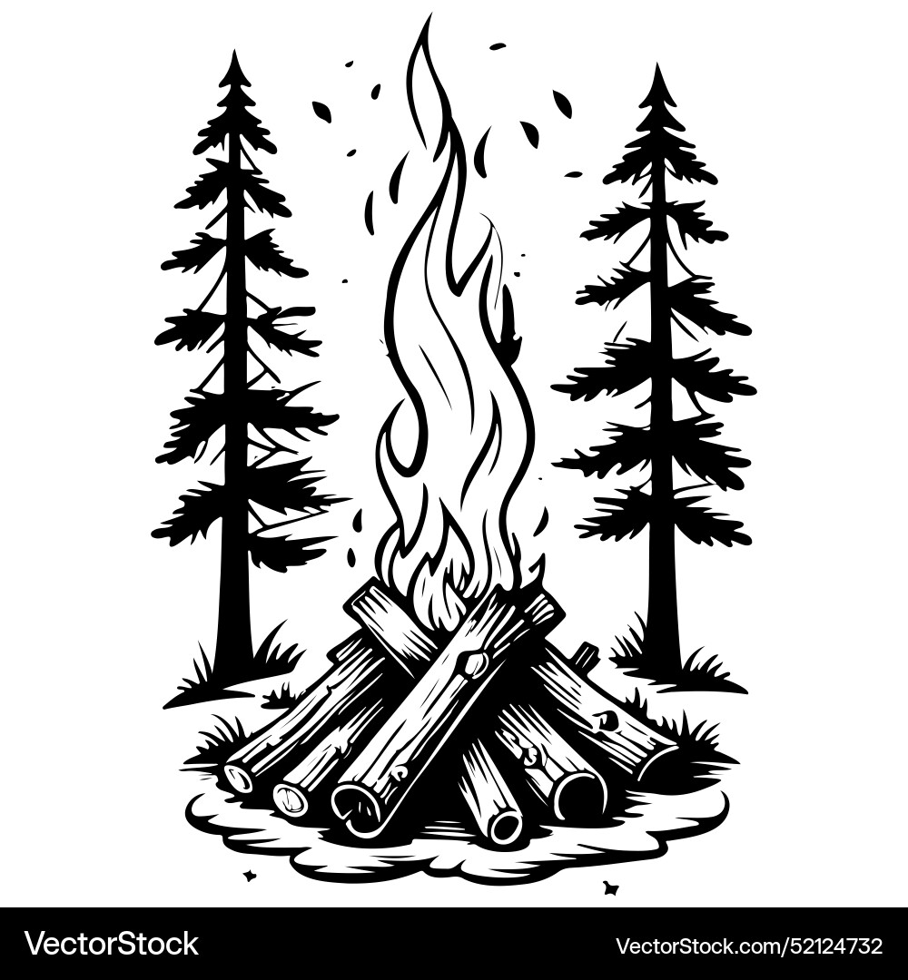 Campfire vintage hand drawn line transparent Vector Image