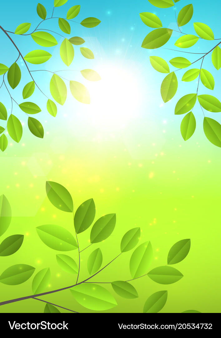 Green leaves background Royalty Free Vector Image