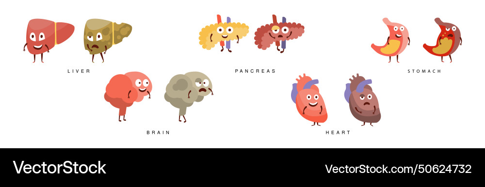 Happy body internal organ with face set Royalty Free Vector