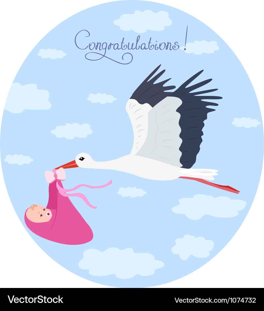 Stork Royalty Free Vector Image - VectorStock