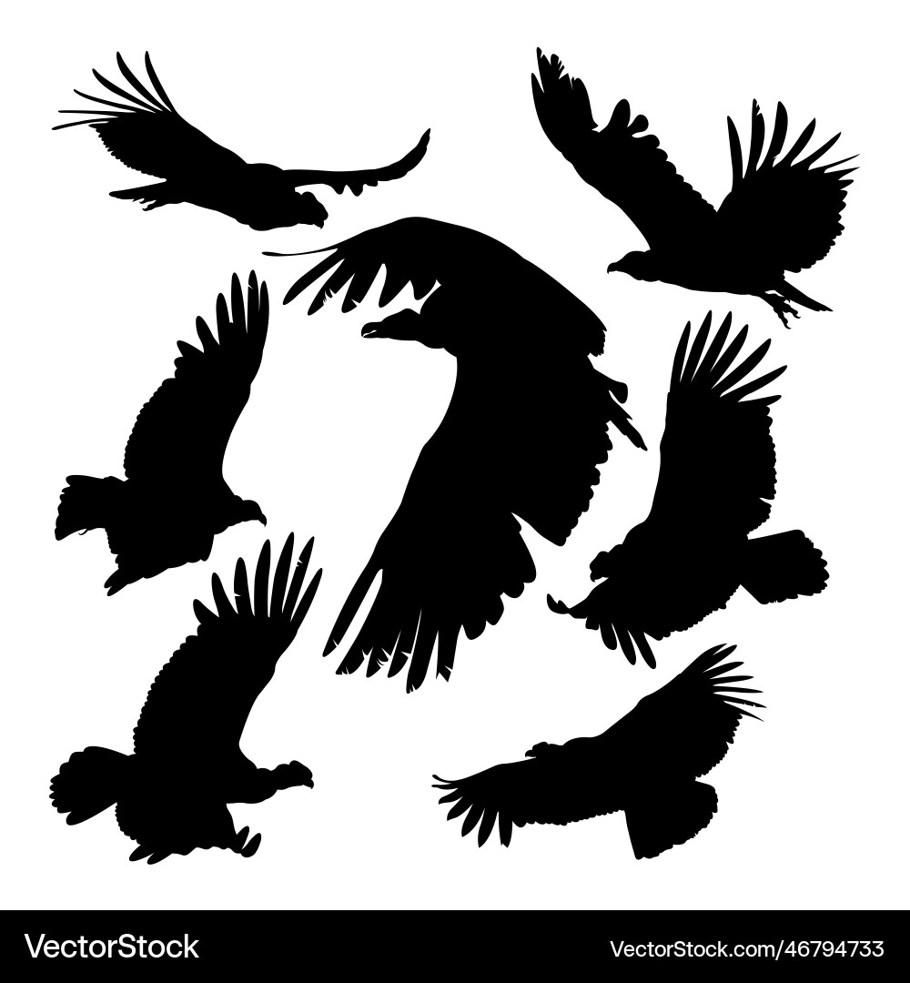 Condor bird poultry silhouettes Royalty Free Vector Image