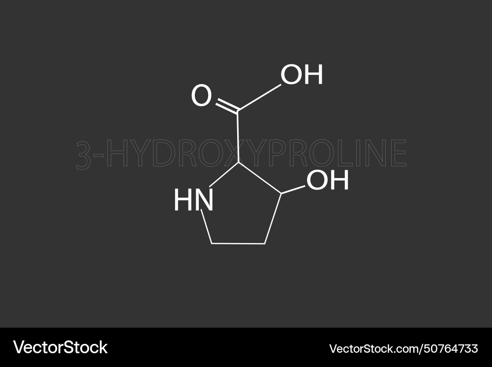 Hydroxyproline skeletal chemical formula Vector Image
