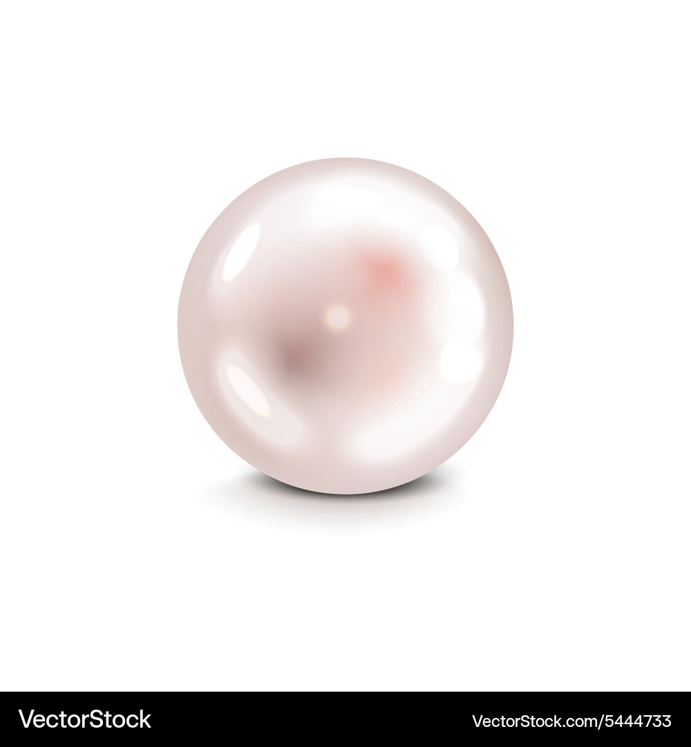 Pearl white Royalty Free Vector Image - VectorStock
