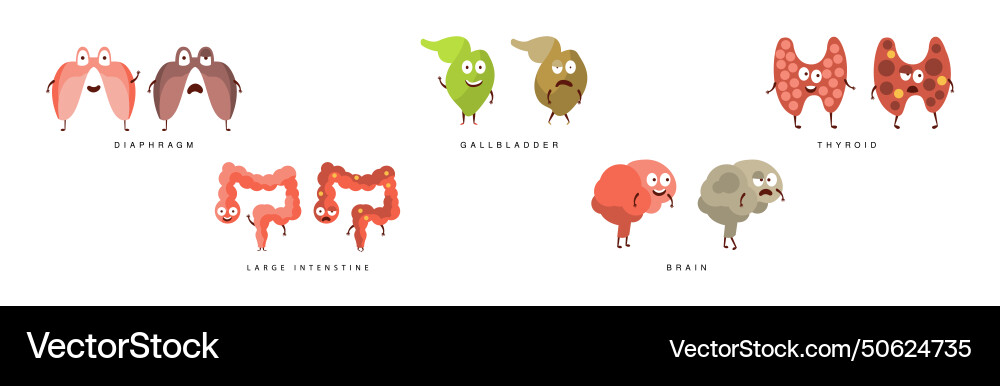 Happy body internal organ with face set Royalty Free Vector