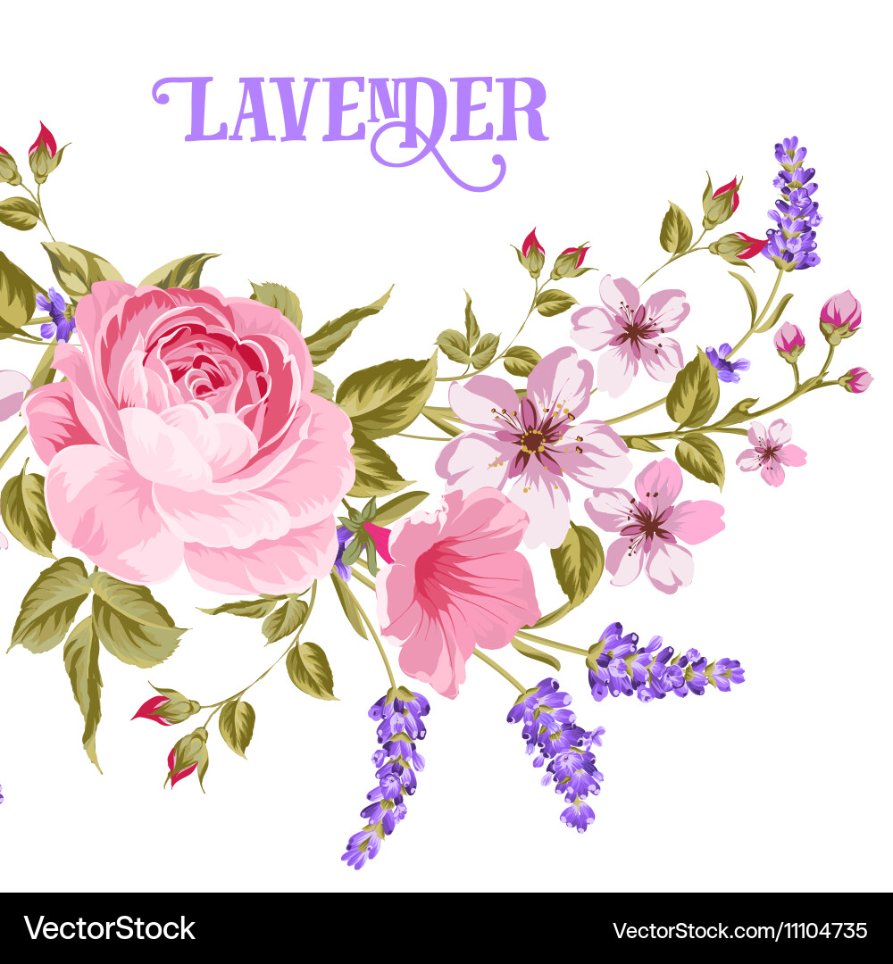 Lavender sign Royalty Free Vector Image - VectorStock