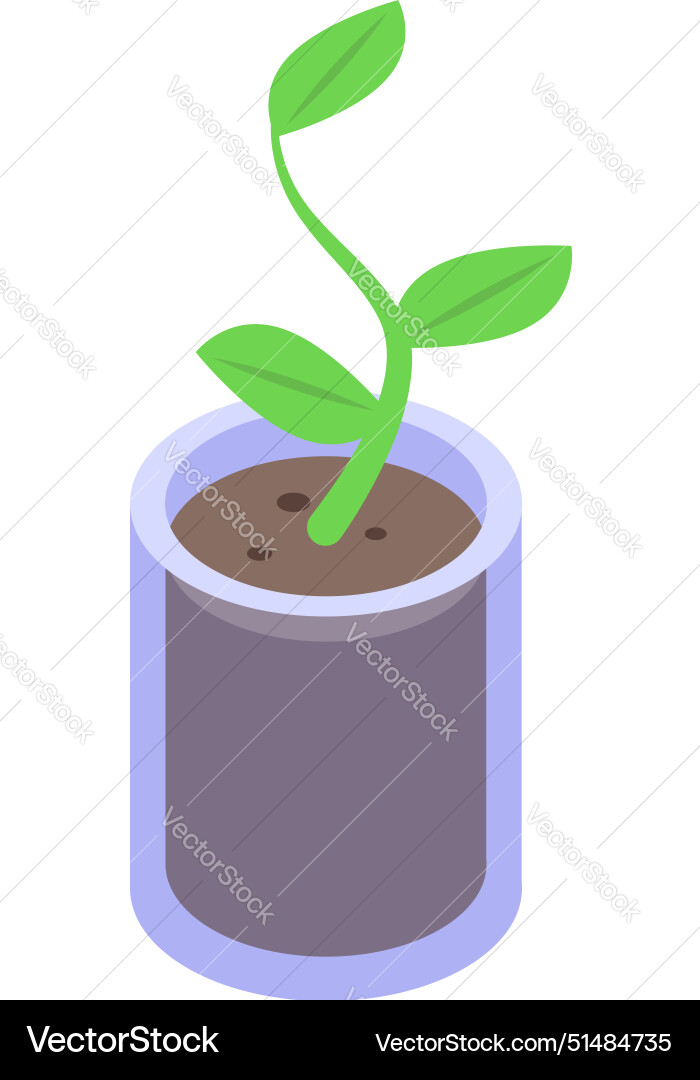 Young plant in pot isometric Royalty Free Vector Image