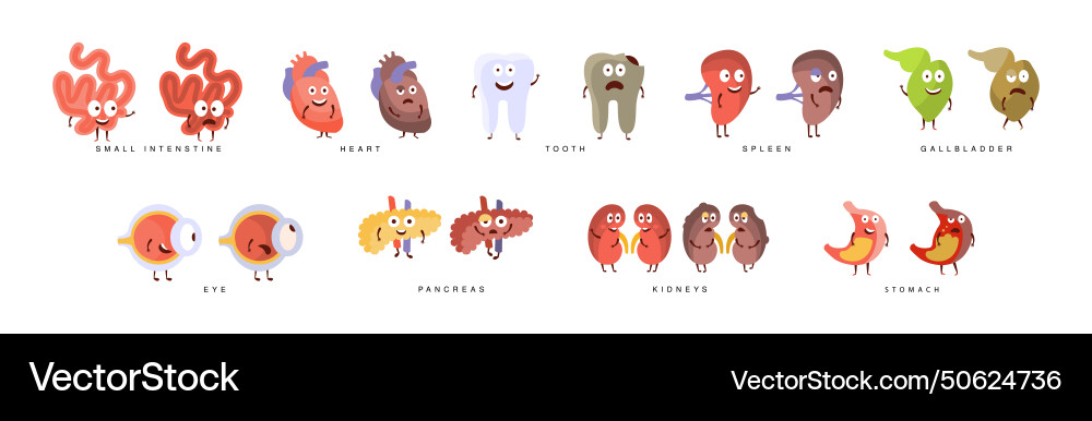 Happy body internal organ with face set Royalty Free Vector