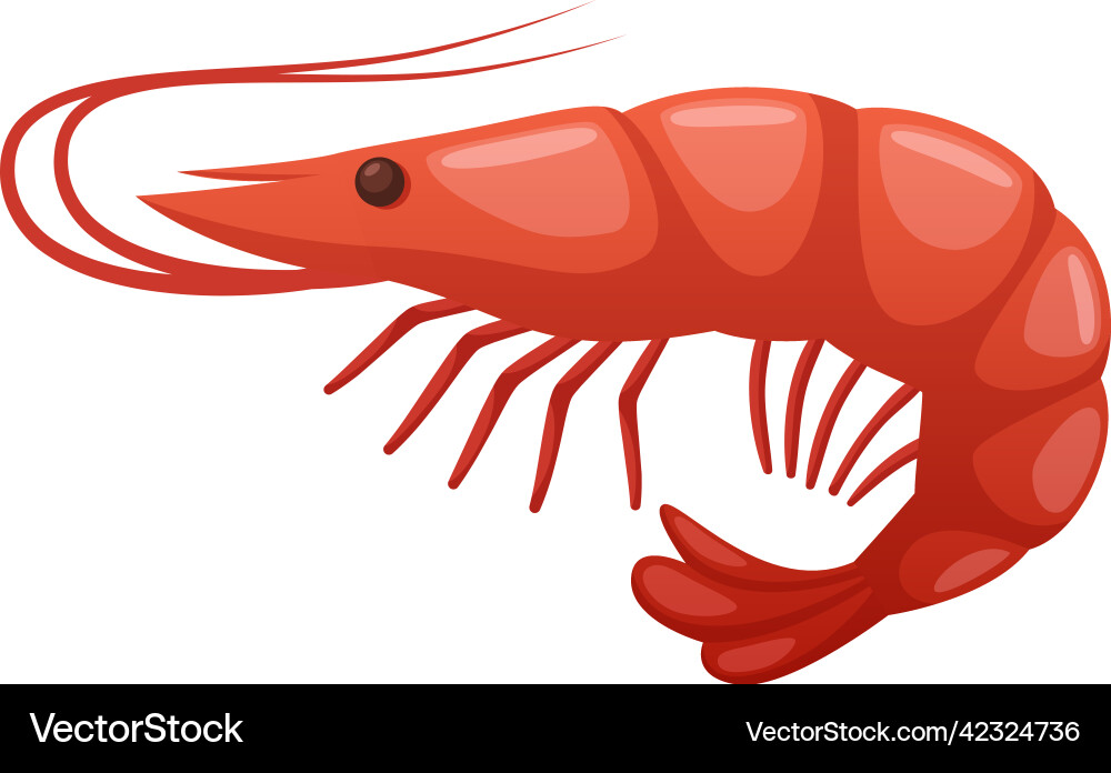 Shrimp cartoon Royalty Free Vector Image - VectorStock
