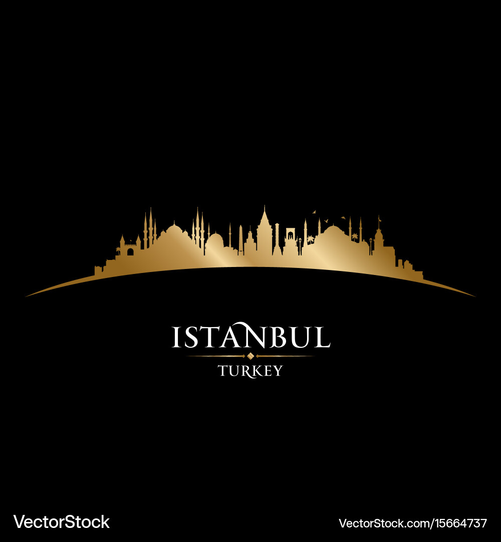 Istanbul City Skyline Silhouette Royalty Free Vector Image
