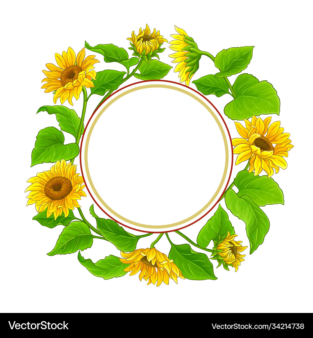 Sunflower plant frame on white background Vector Image