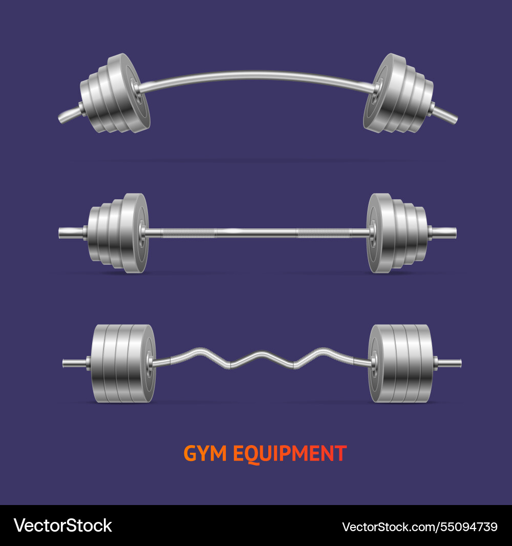 Realistic detailed 3d different barbell set Vector Image