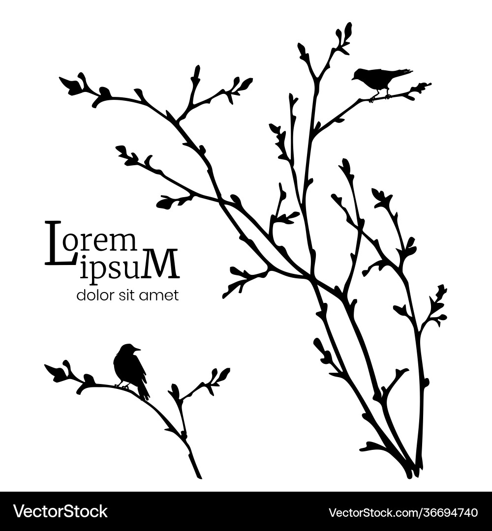 Black silhouette spring branches and birds Vector Image