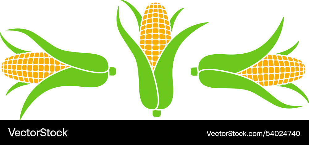 Corn Royalty Free Vector Image - VectorStock