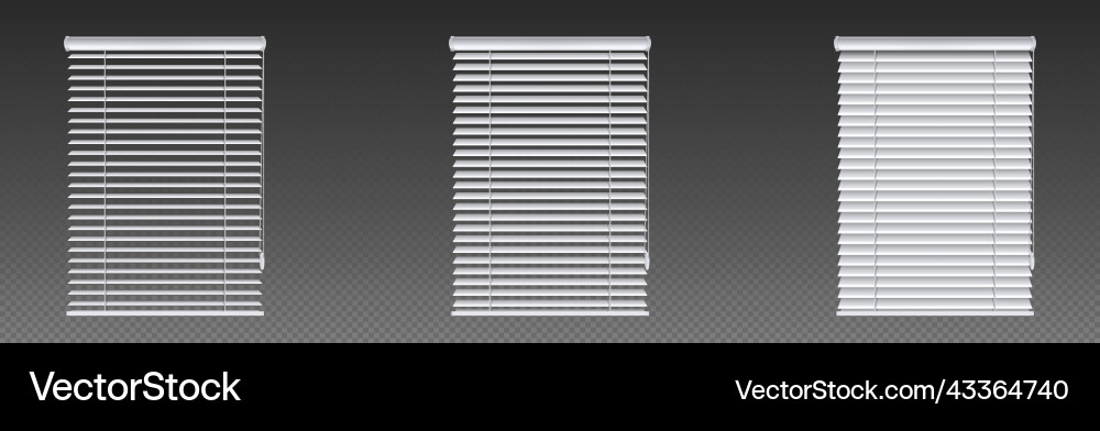 Window venetian blinds jalousie curtains Vector Image