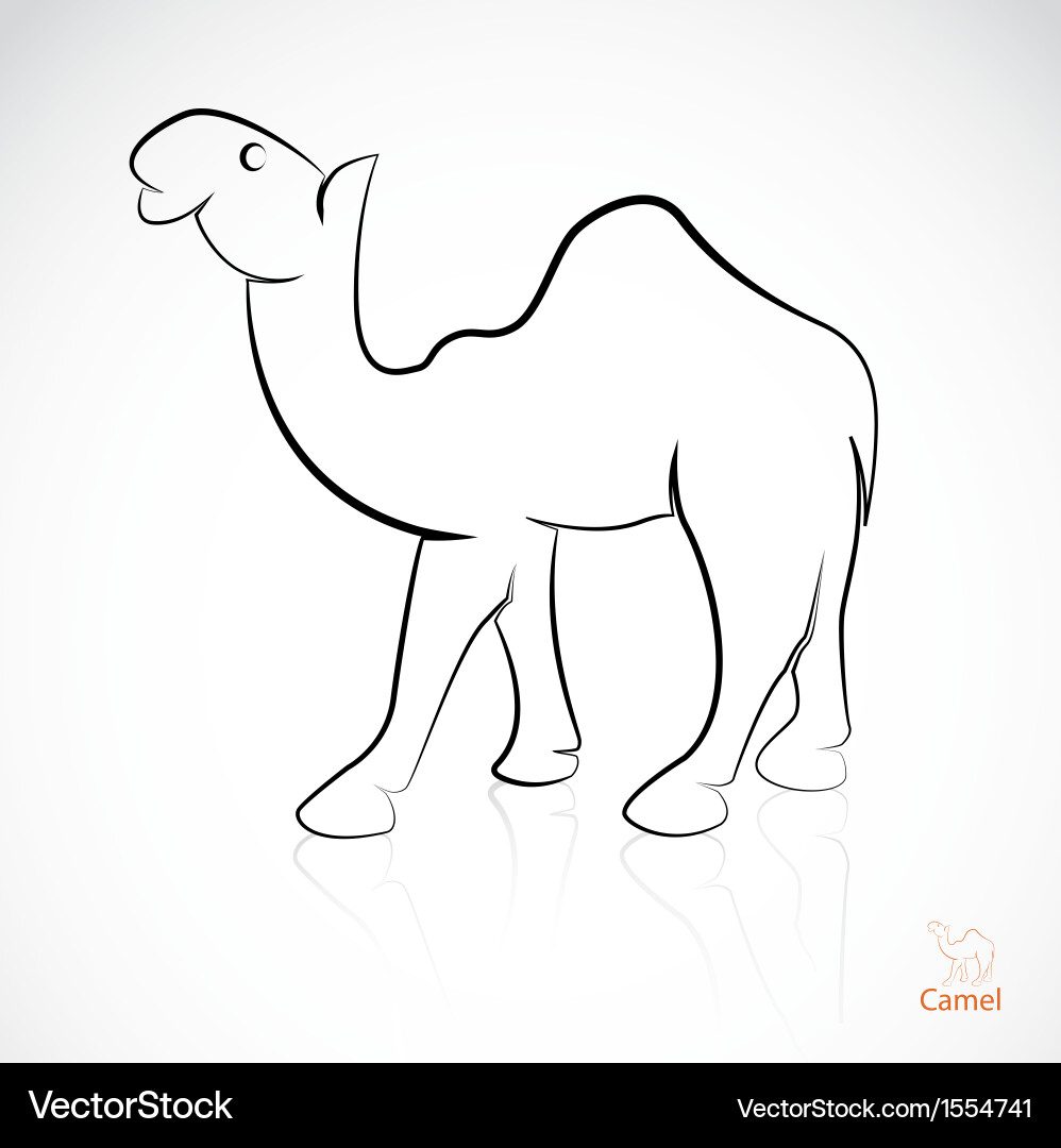 Camel Royalty Free Vector Image - VectorStock